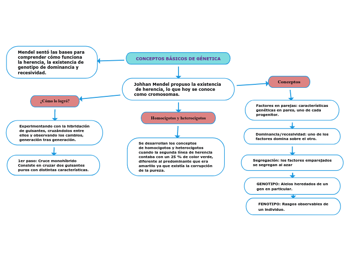 CONCEPTOS BÁSICOS DE GÉNETICA - Mind Map CONCEPTOS BÁSICOS DE GÉNETICA - Mind Map